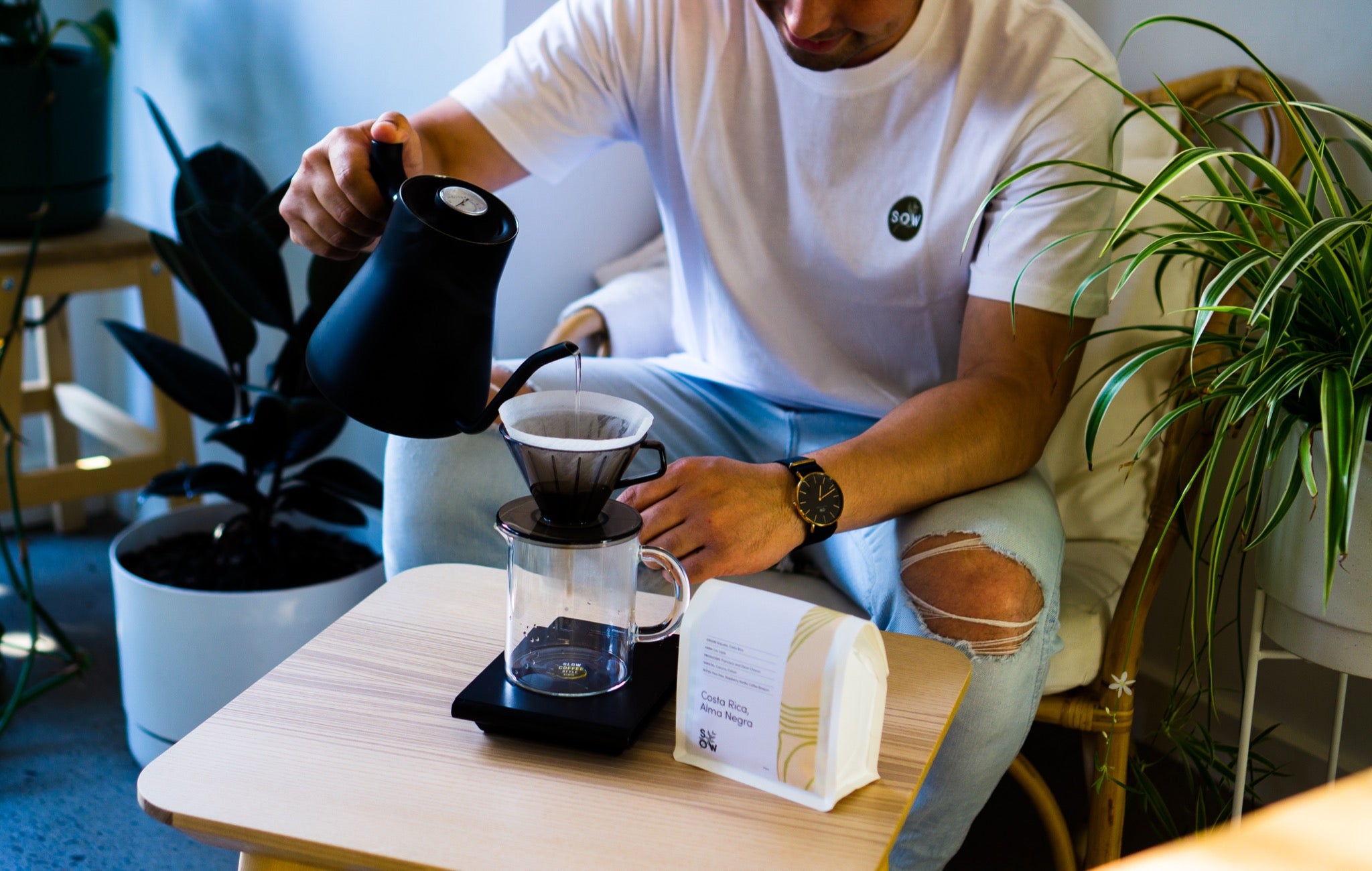 Brewing – Sow Coffee Project